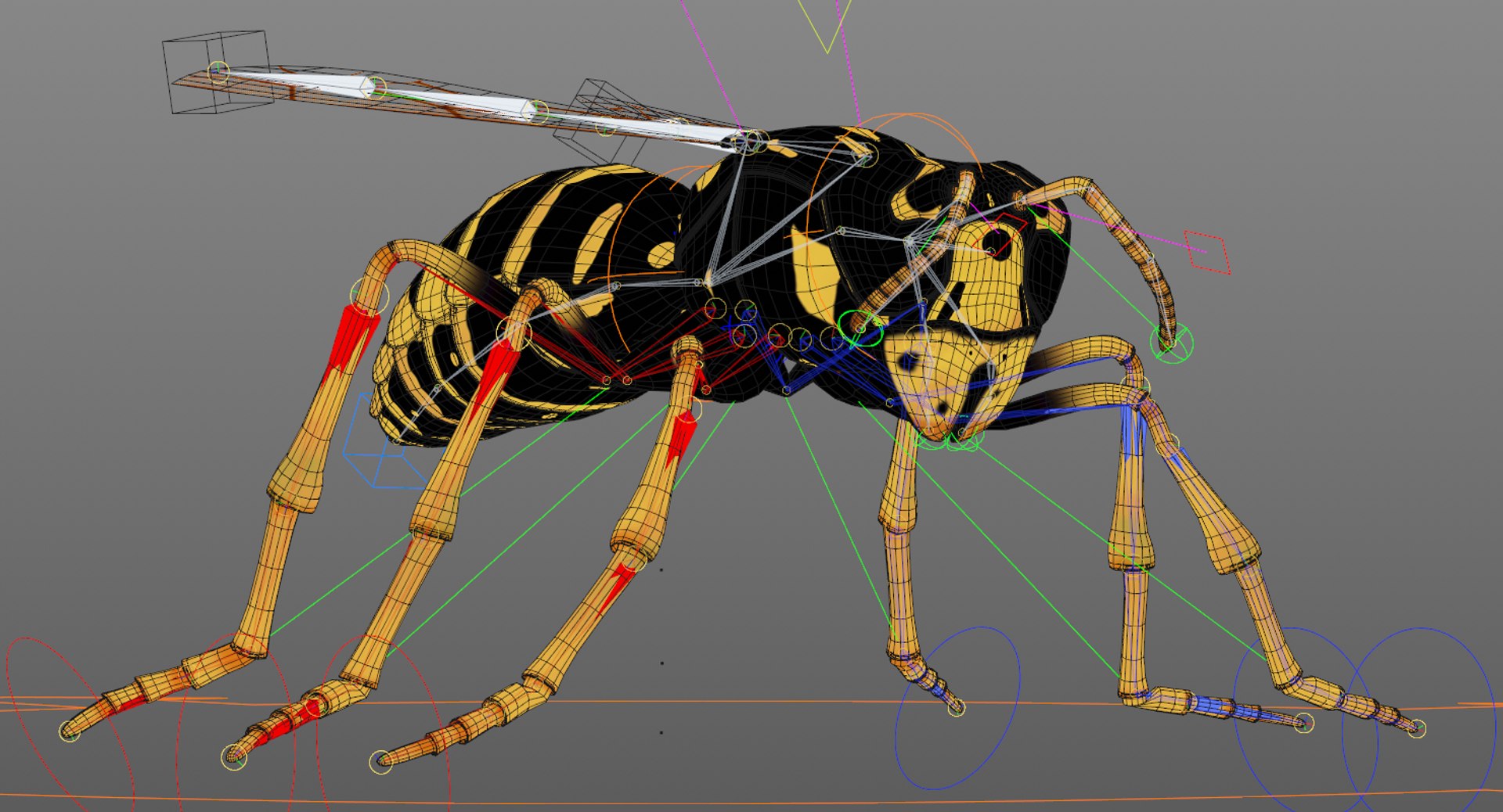 Realistic Wasp 3d Model