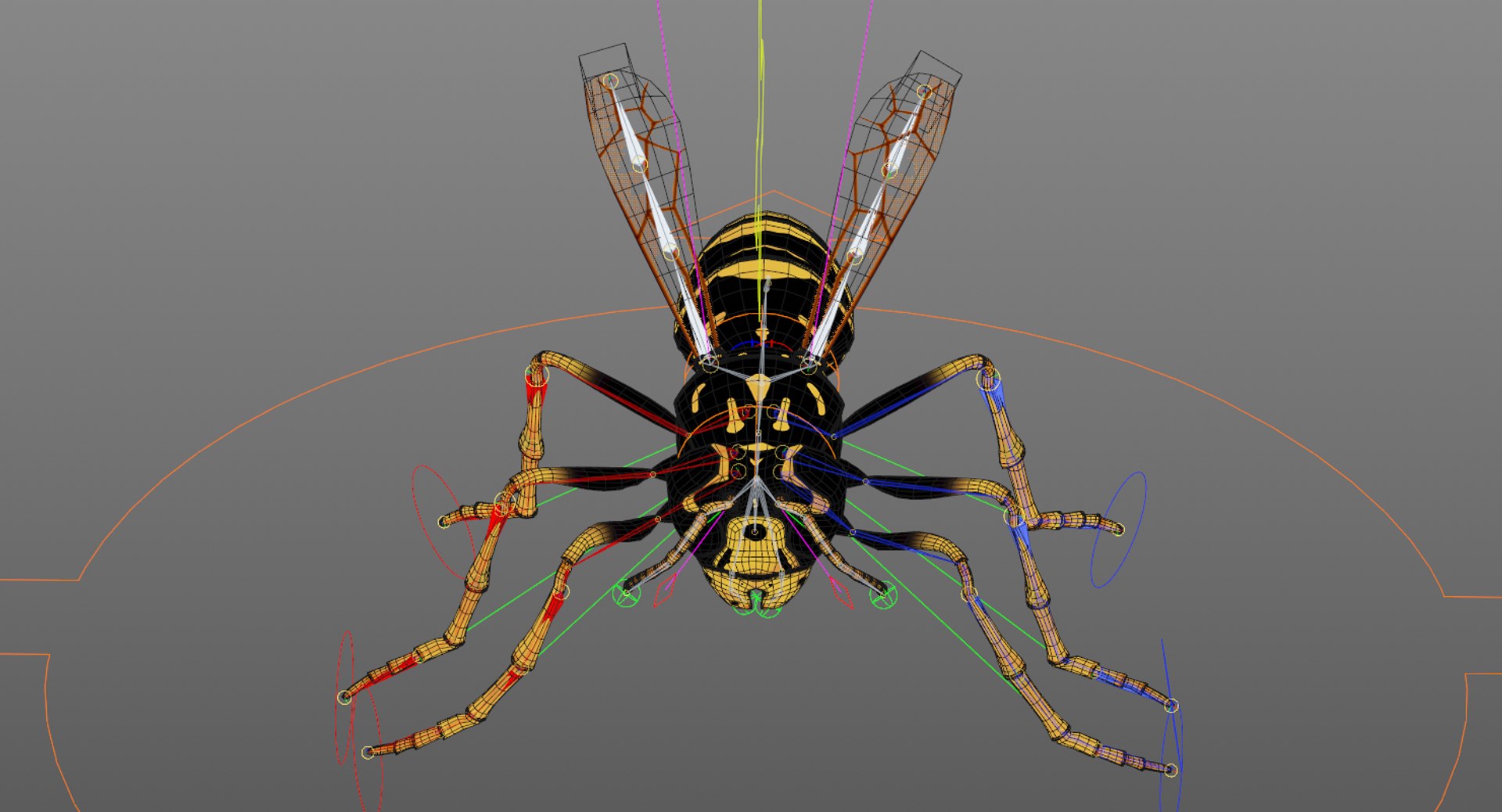 Realistic Wasp 3d Model