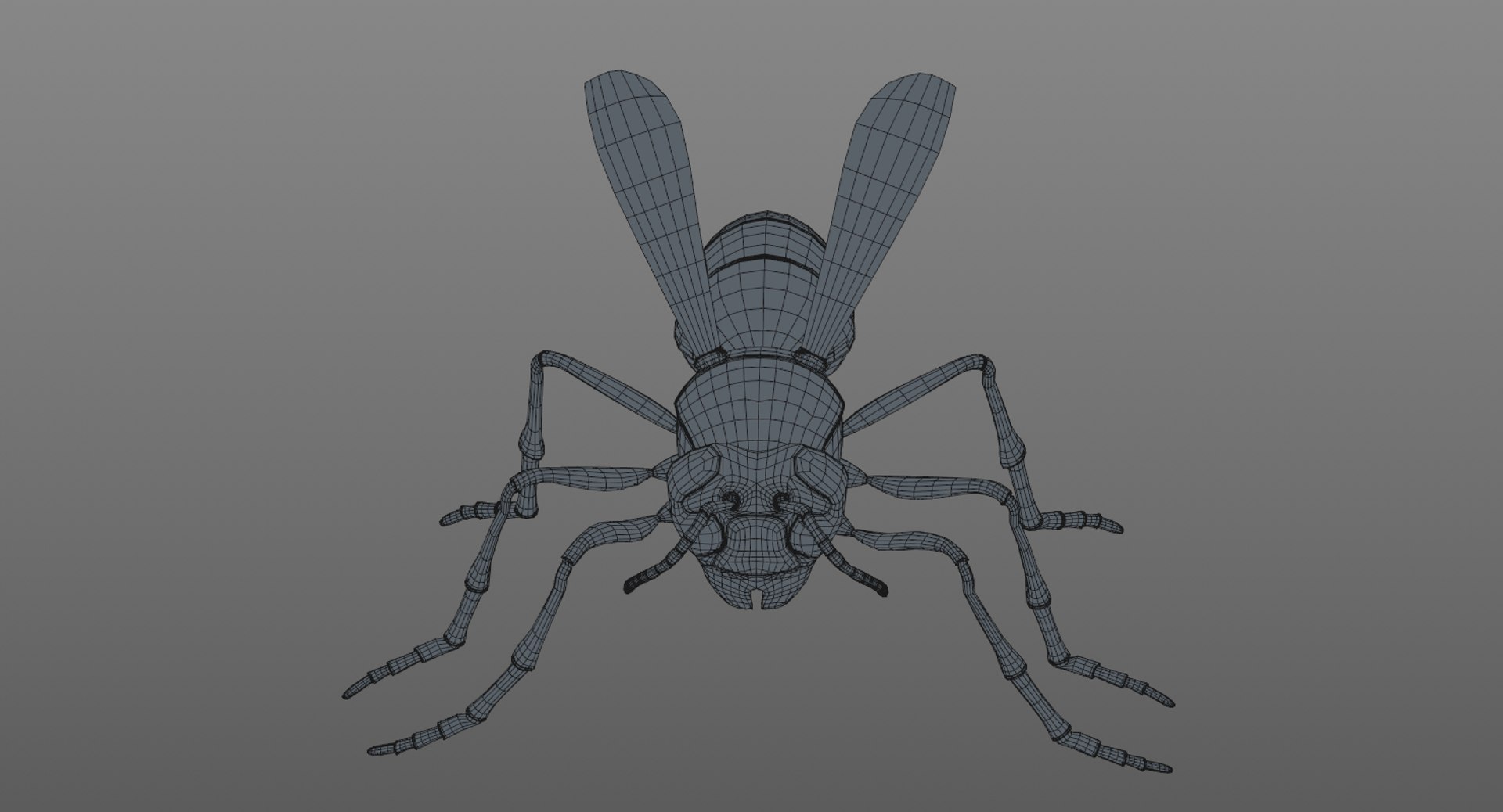 Realistic Wasp 3d Model