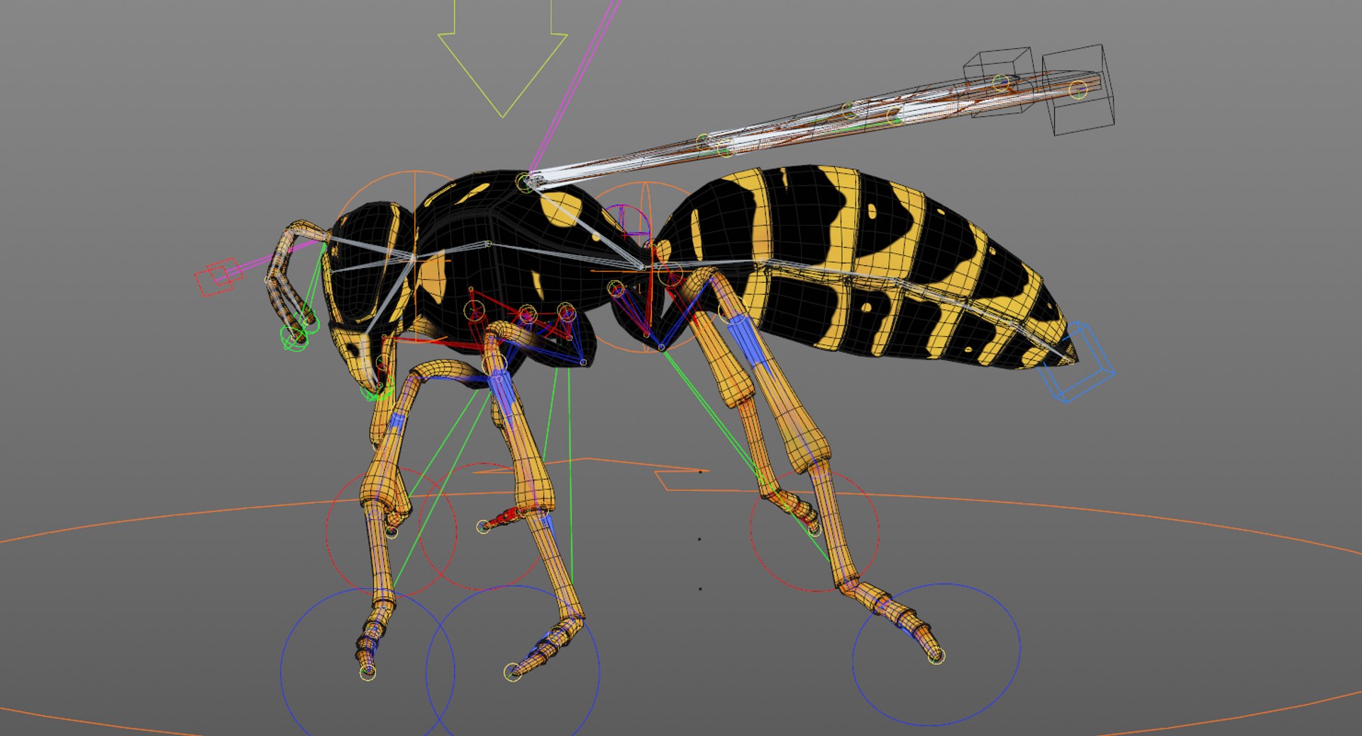 Realistic Wasp 3d Model