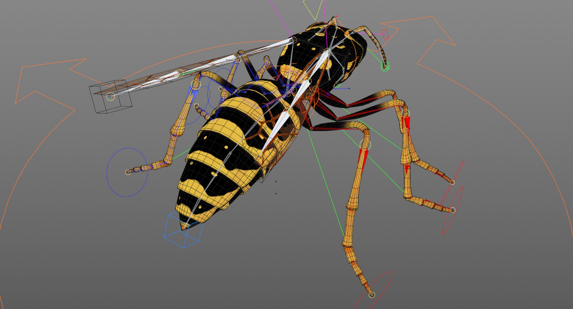 Realistic Wasp 3d Model