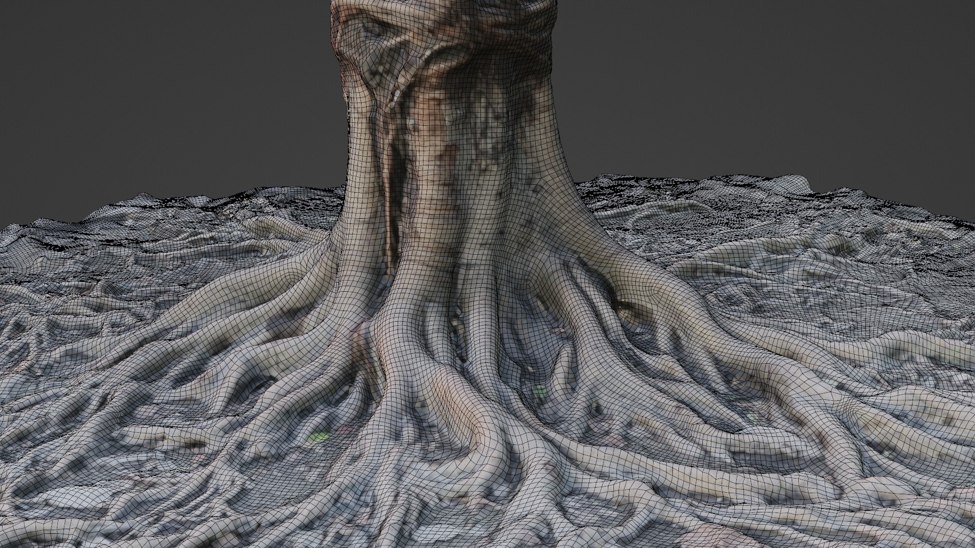 Tree Scanned Roots 3D Model - TurboSquid 2317072