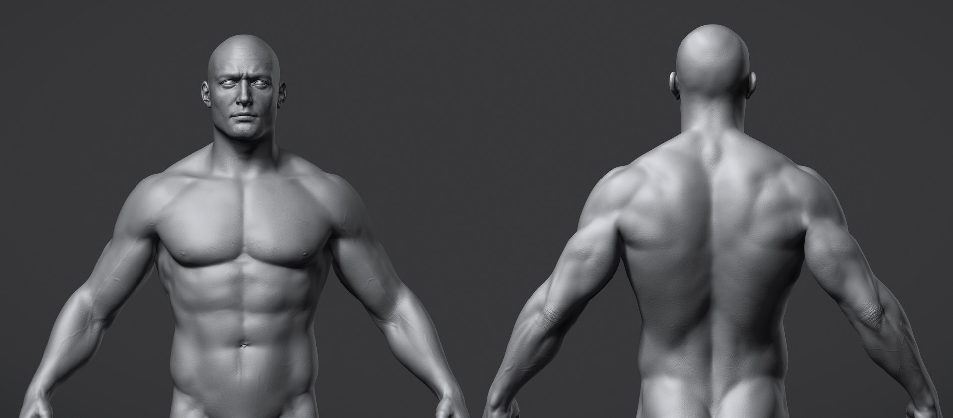 Body Visualizer Male