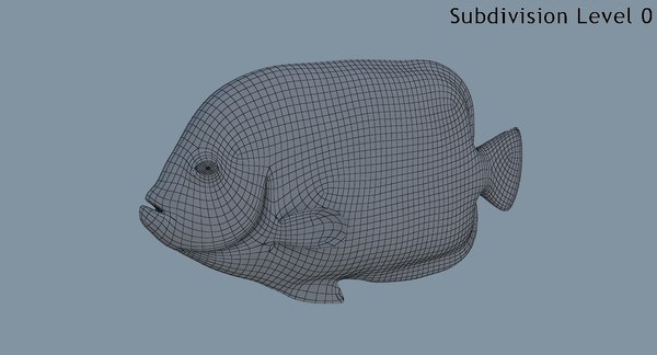 3D fish model - TurboSquid 1275754