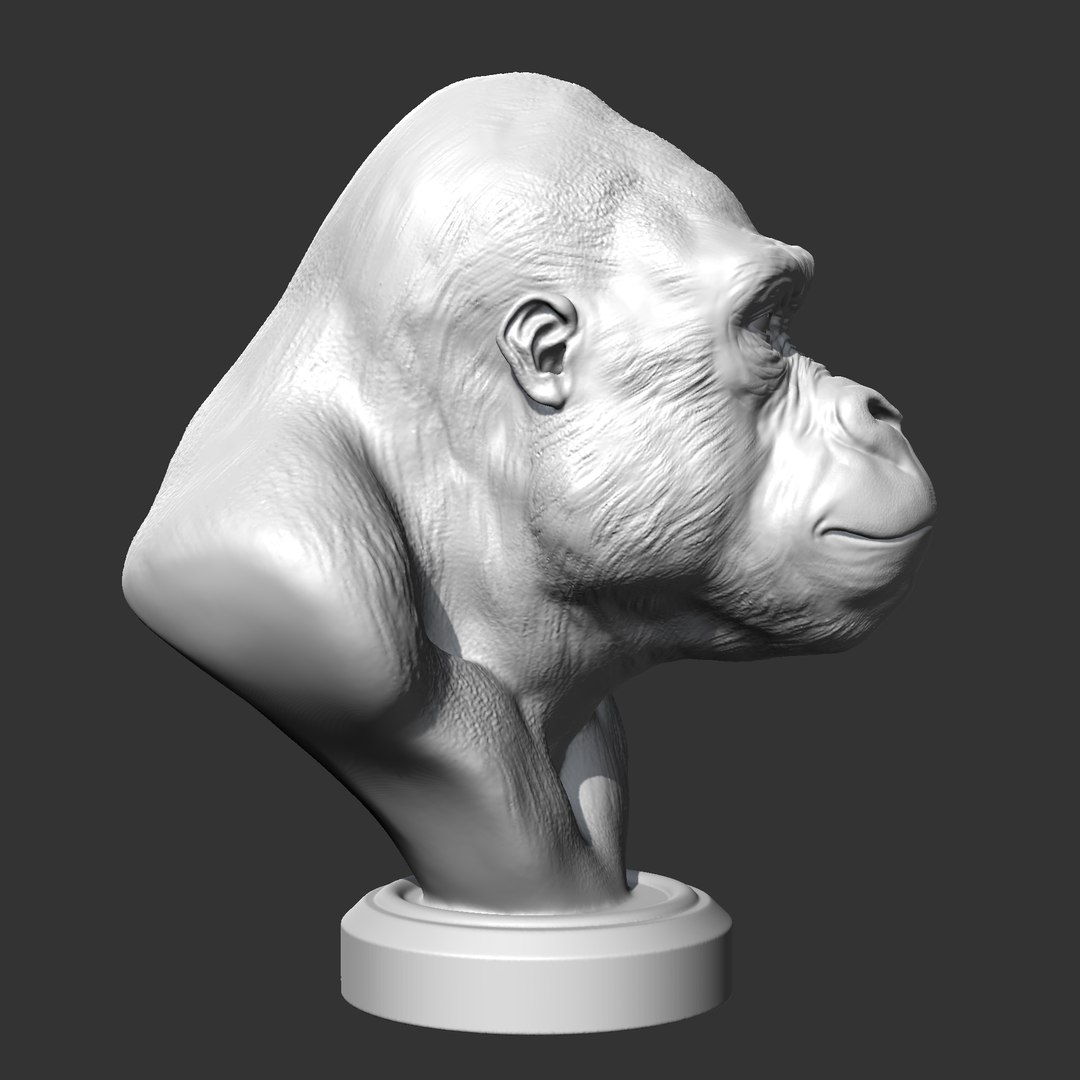 3D Gorilla Head AM28 3D Print Model Model - TurboSquid 2208177