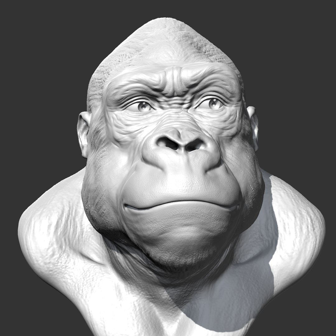 3D Gorilla Head AM28 3D Print Model Model - TurboSquid 2208177