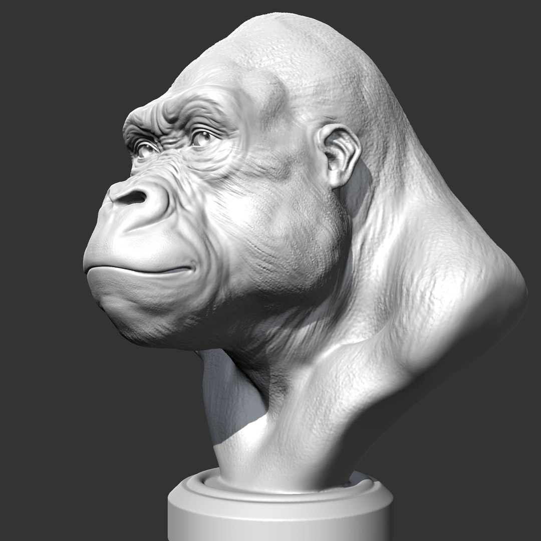 3D Gorilla Head AM28 3D Print Model Model - TurboSquid 2208177