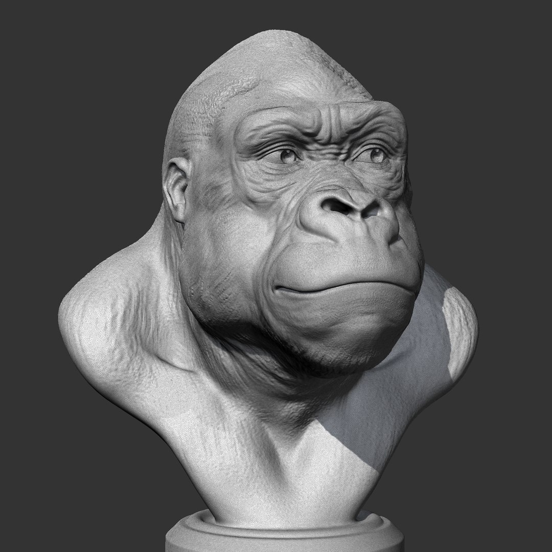 3D Gorilla Head AM28 3D Print Model Model - TurboSquid 2208177