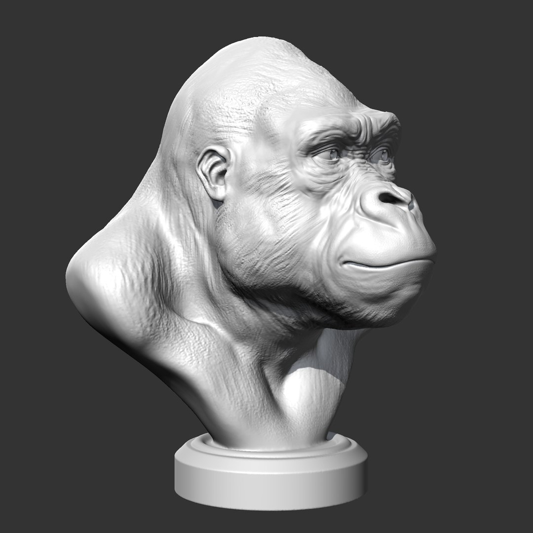 3D Gorilla Head AM28 3D Print Model Model - TurboSquid 2208177