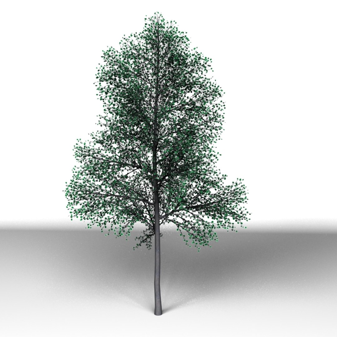 Tree 3d Max