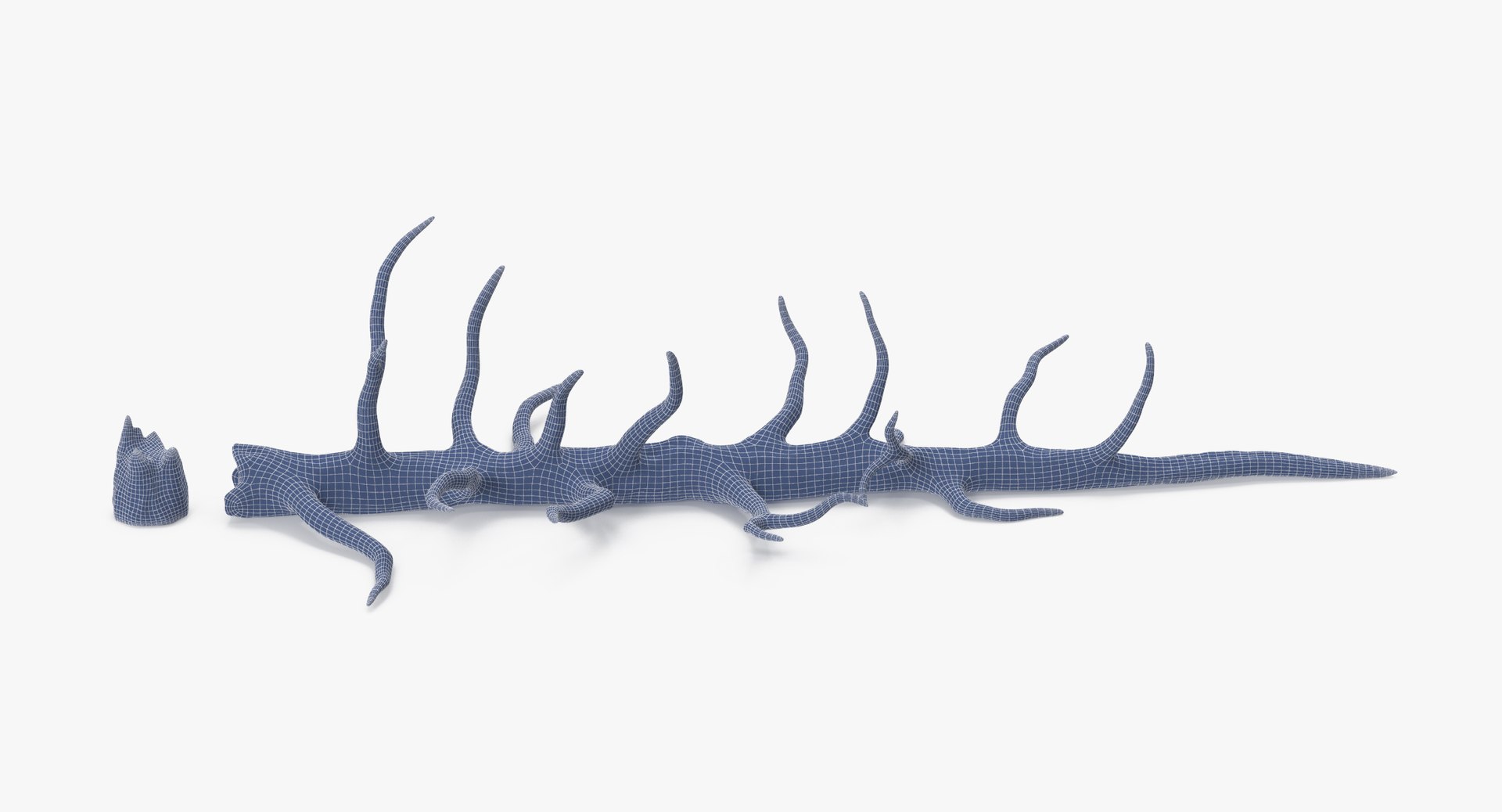 Fallen Tree 3d Model