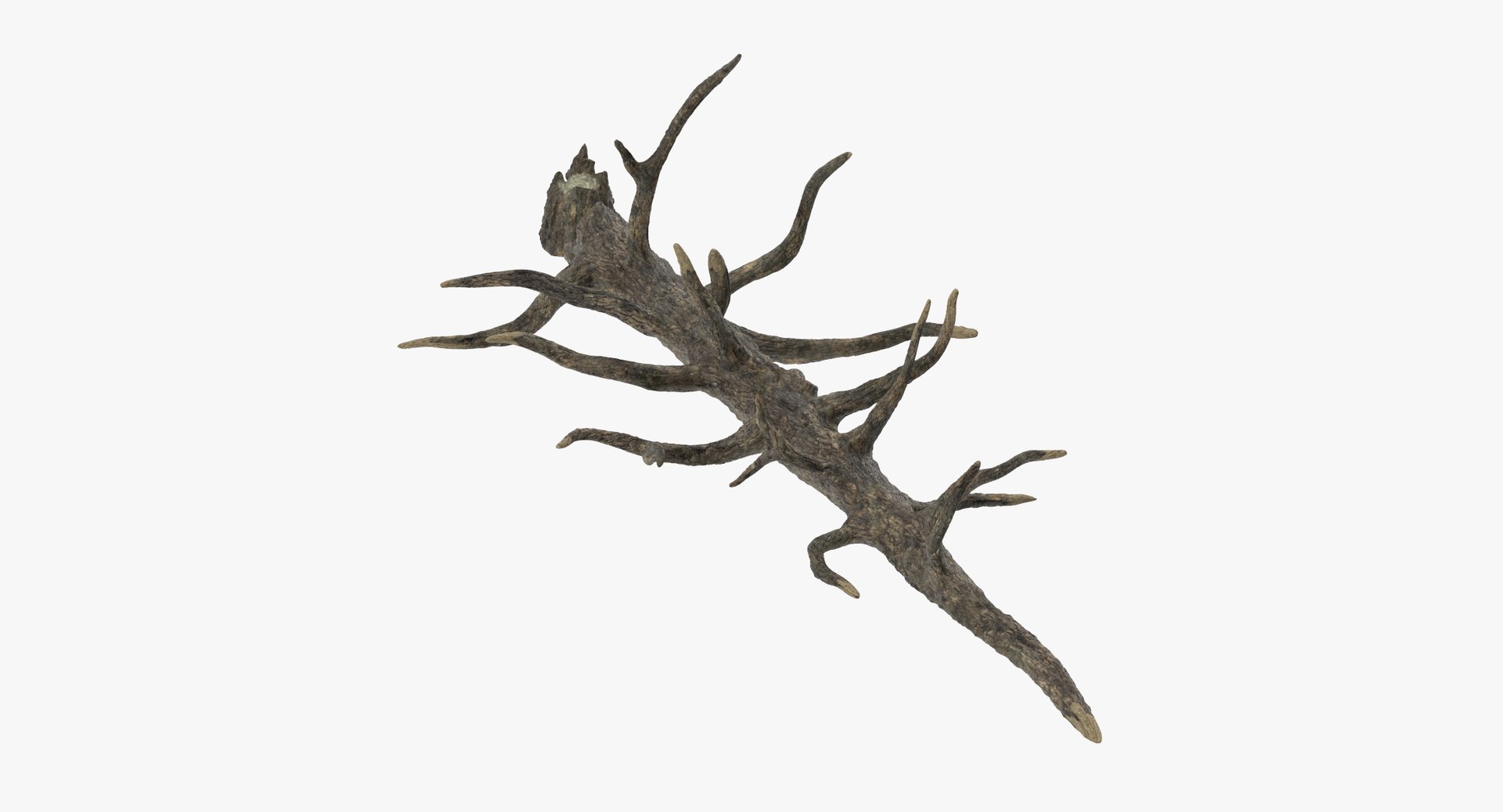 fallen tree 3d model
