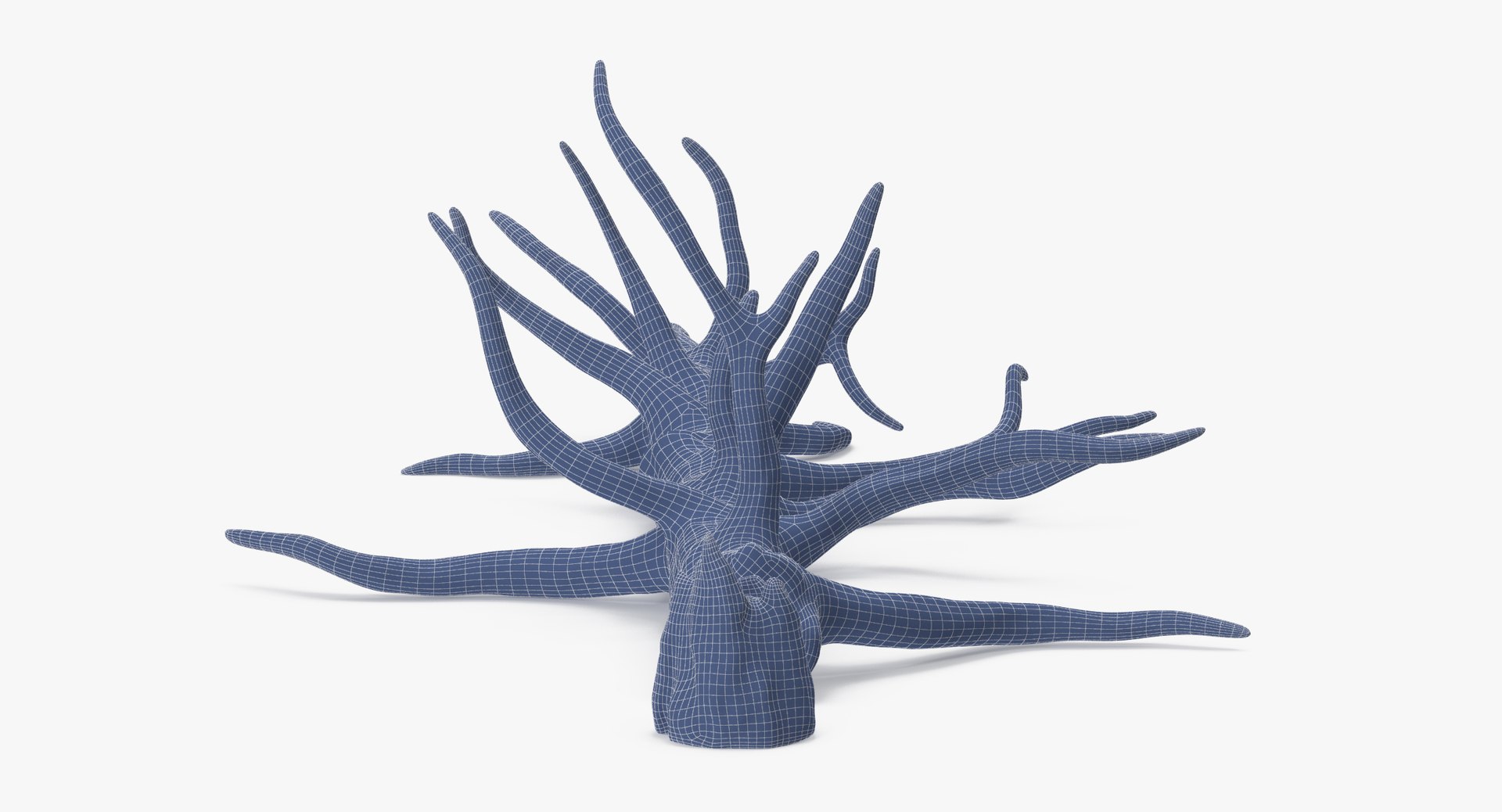 Fallen Tree 3d Model