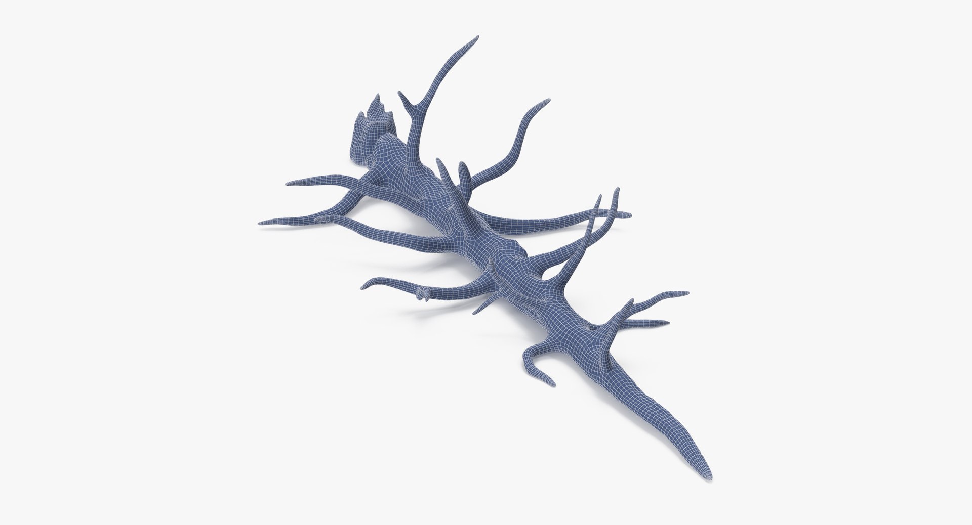 Fallen Tree 3d Model