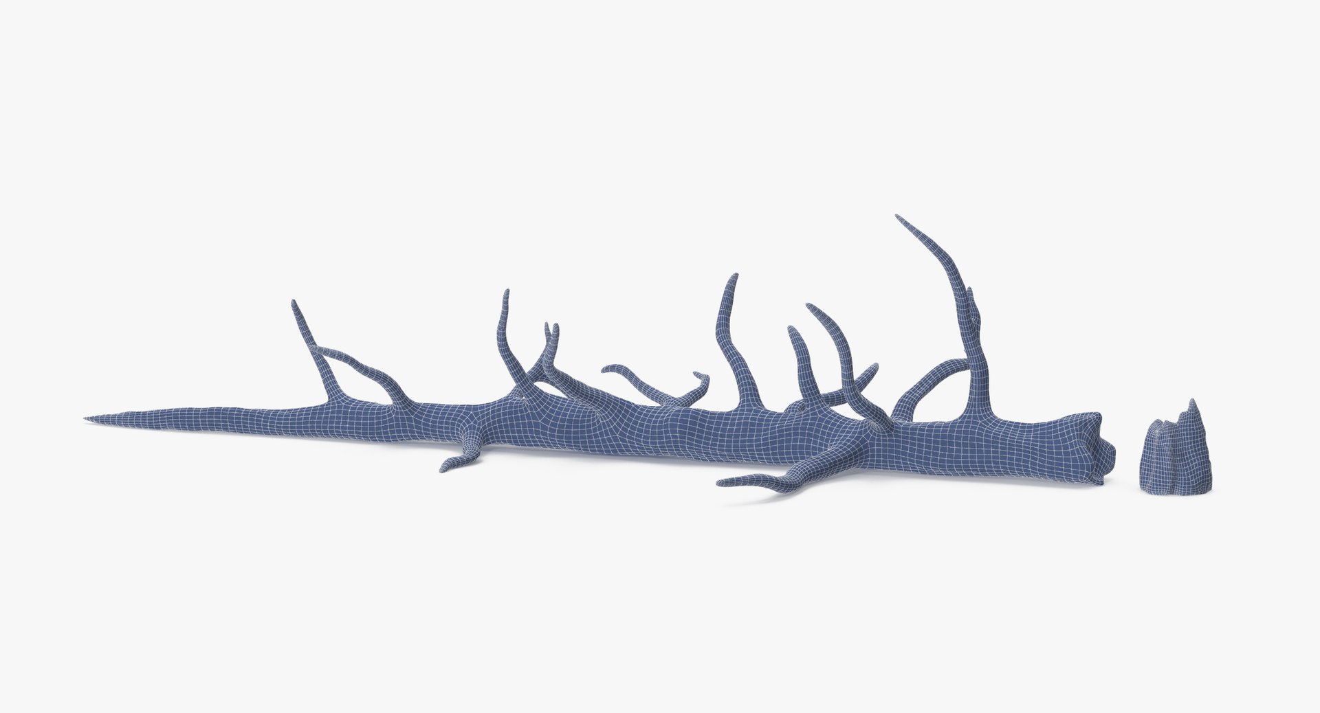 Fallen Tree 3d Model