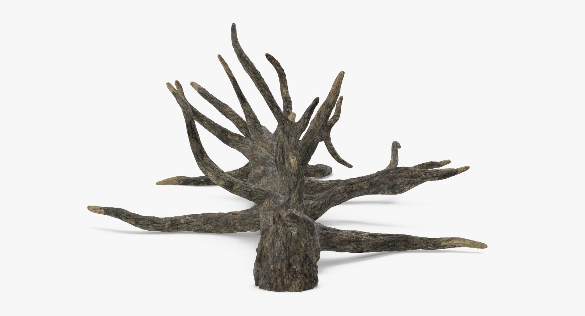 Fallen Tree 3d Model