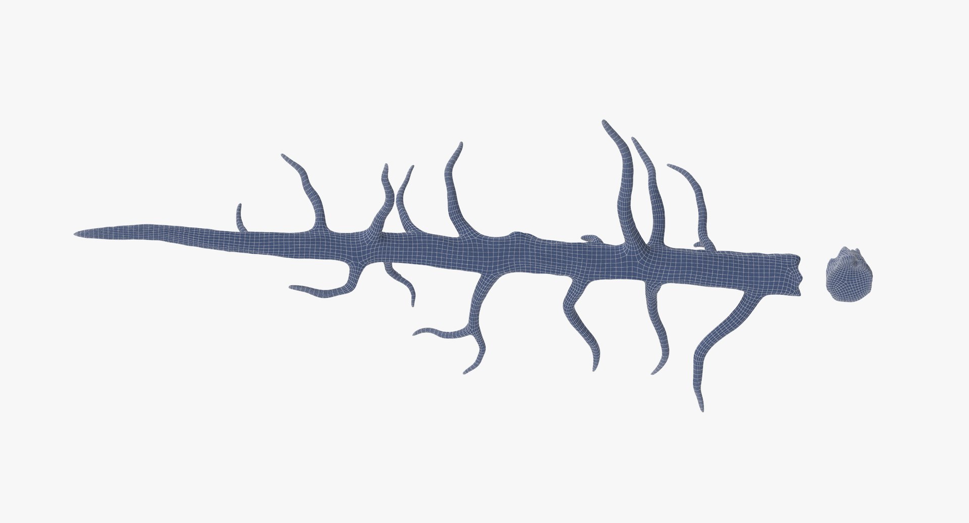 Fallen Tree 3d Model