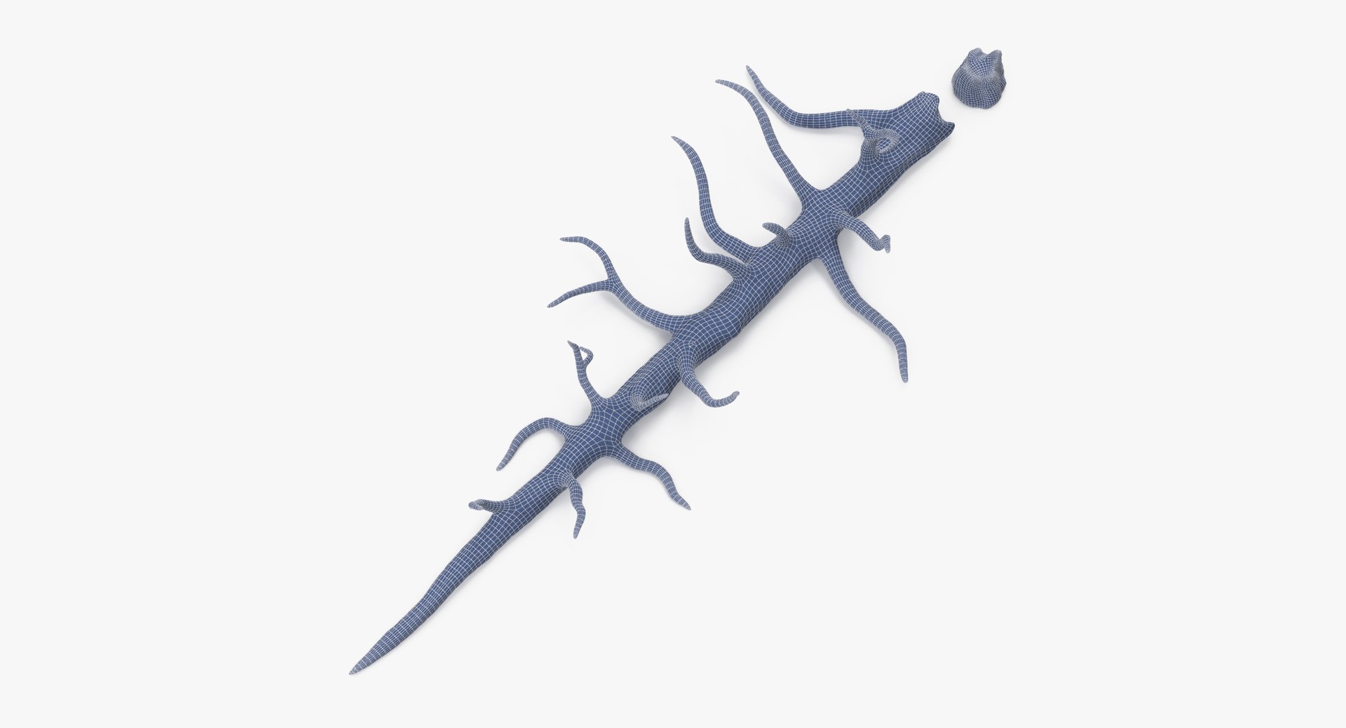 Fallen Tree 3d Model