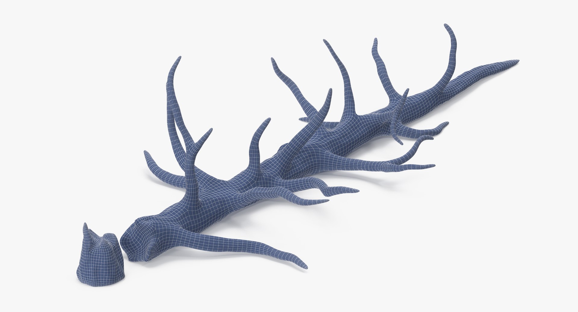 Fallen Tree 3d Model