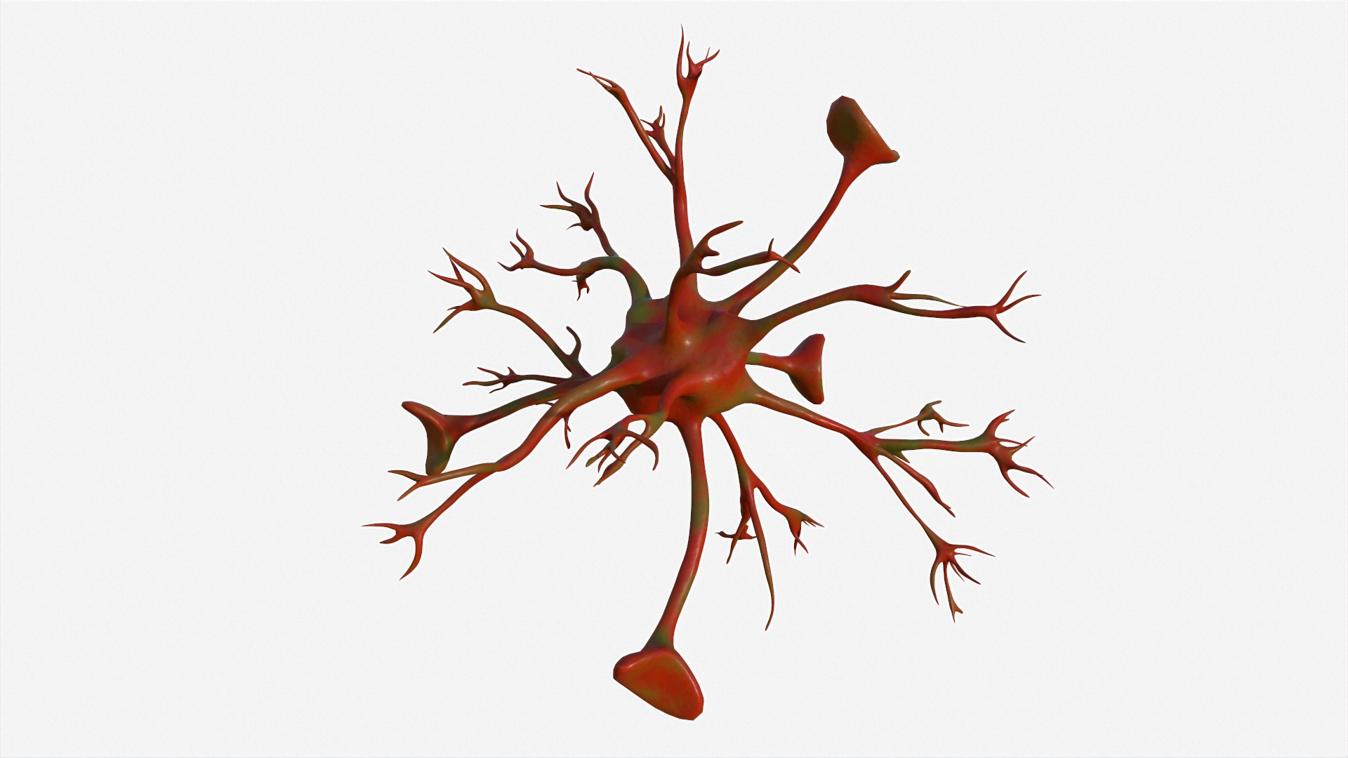 3D Astrocyte 3d Model - TurboSquid 1931337