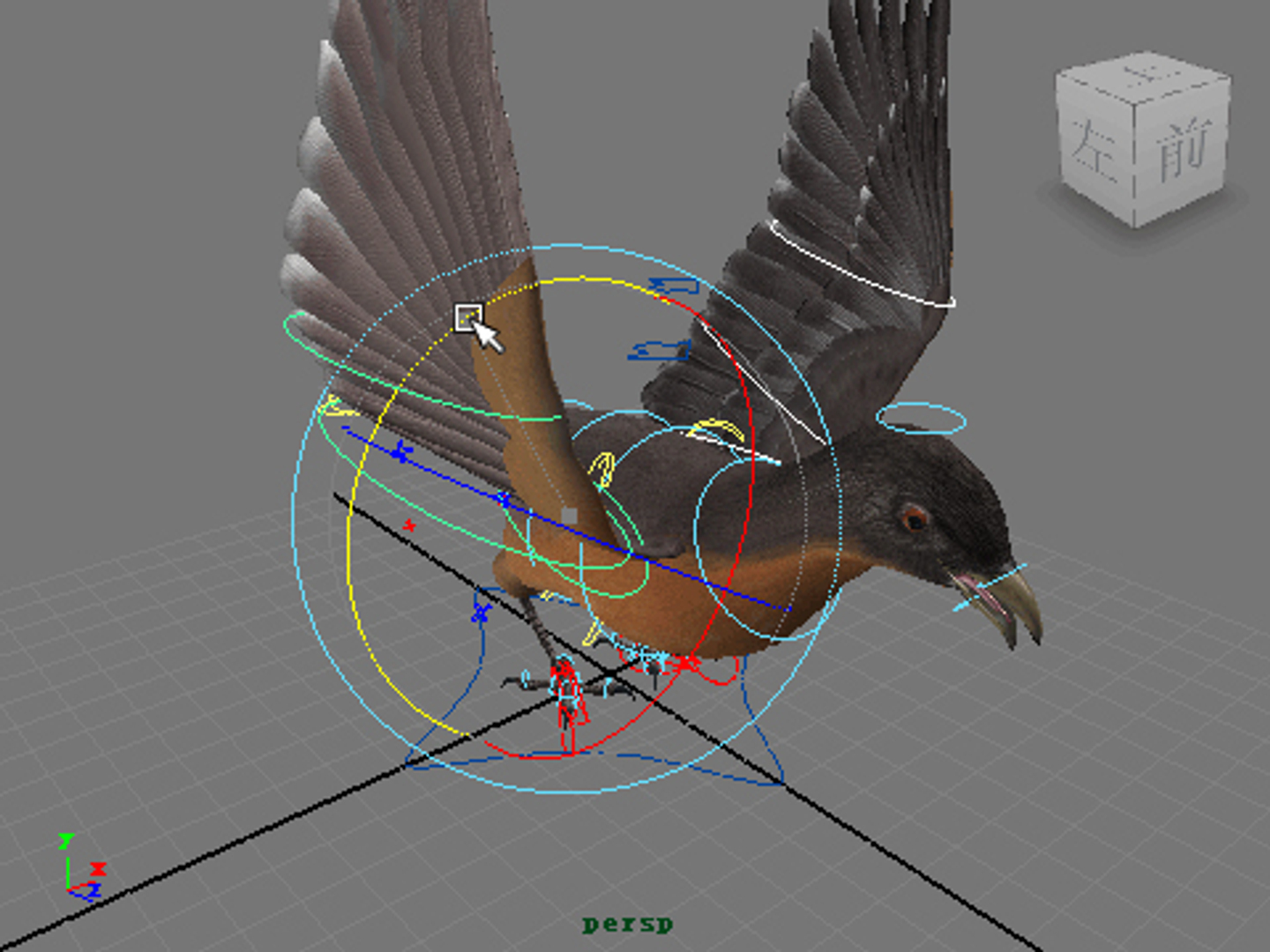 3d Pigeon Passenger Model