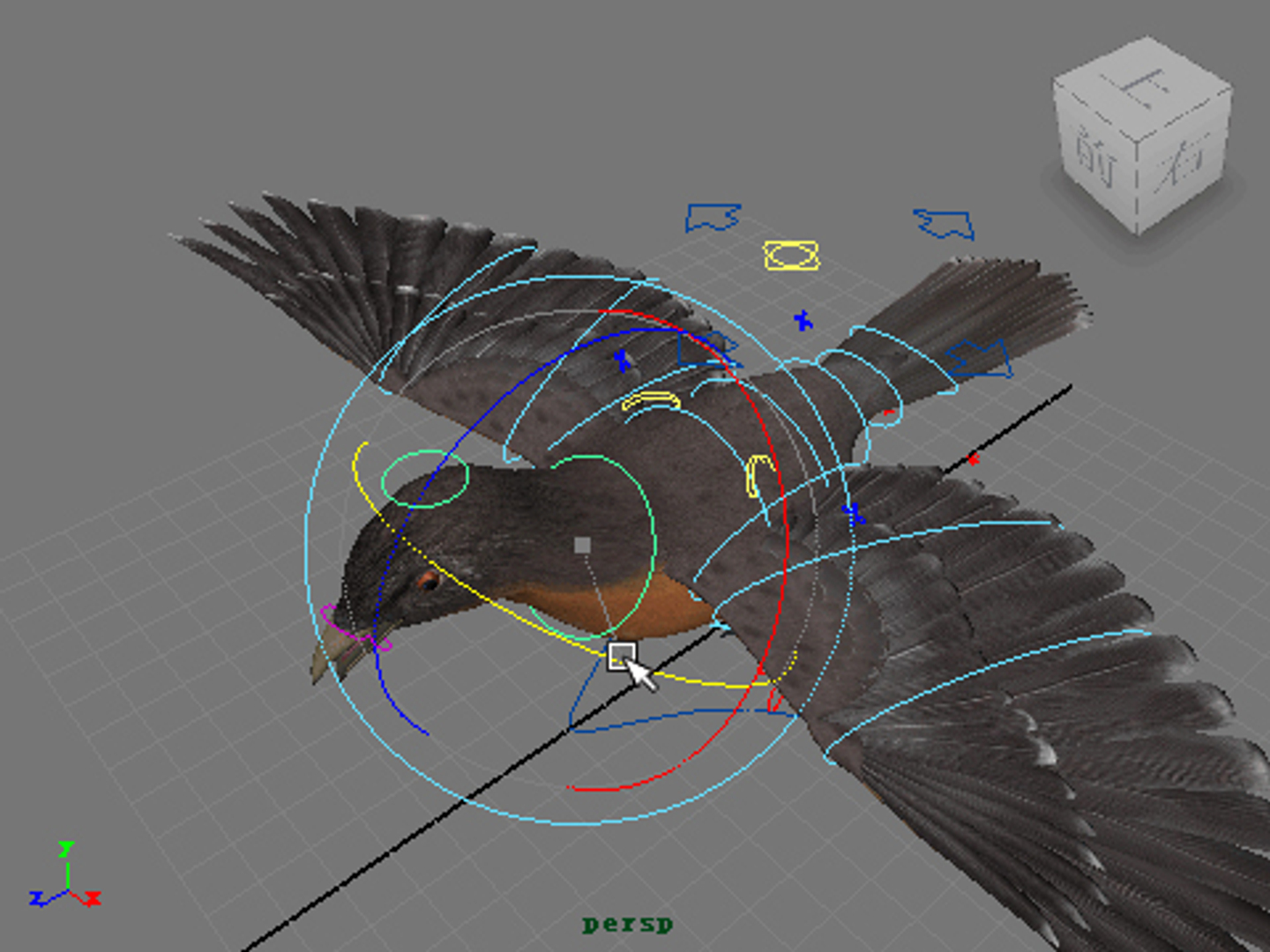 3d Pigeon Passenger Model