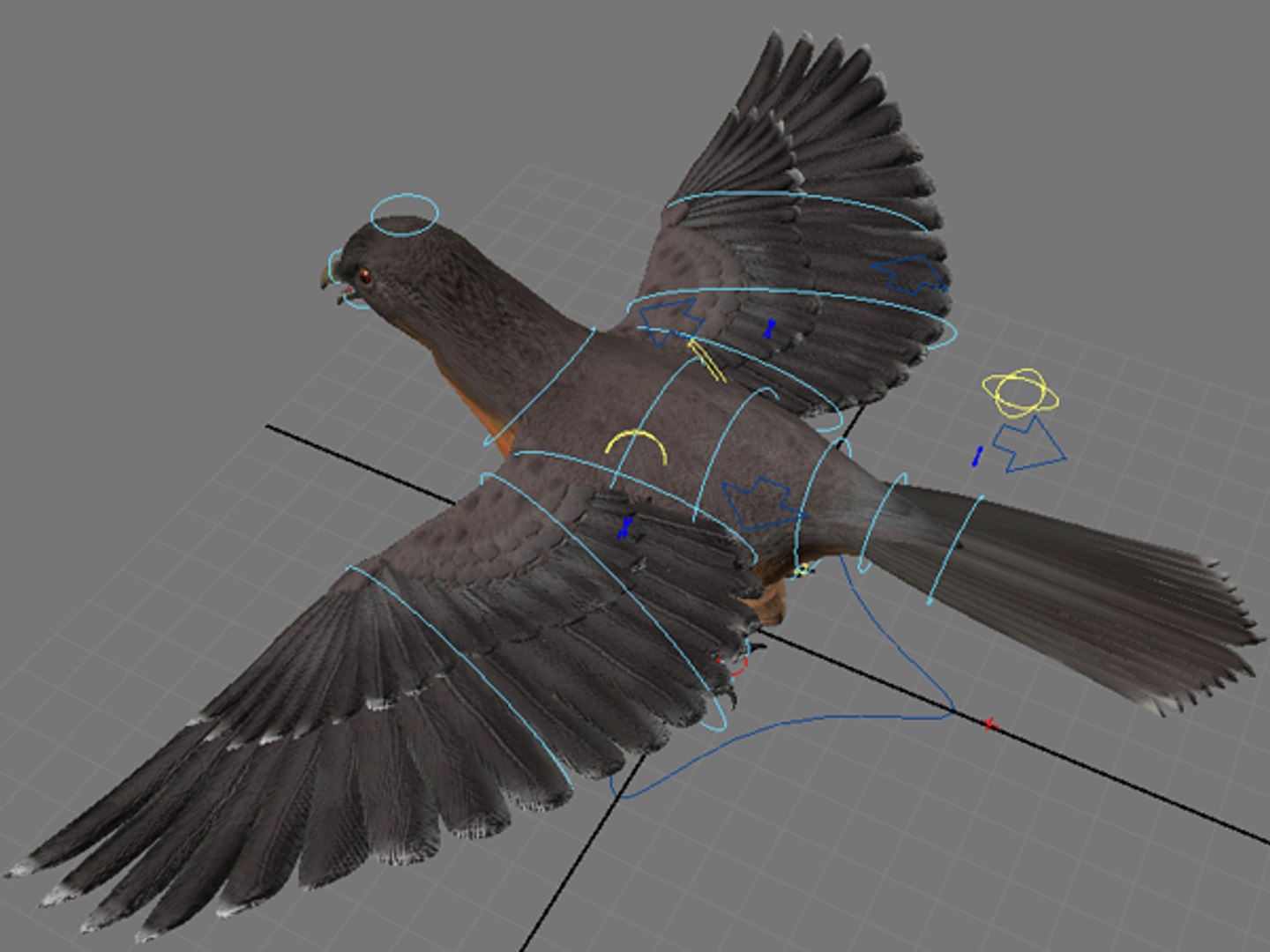 3d Pigeon Passenger Model