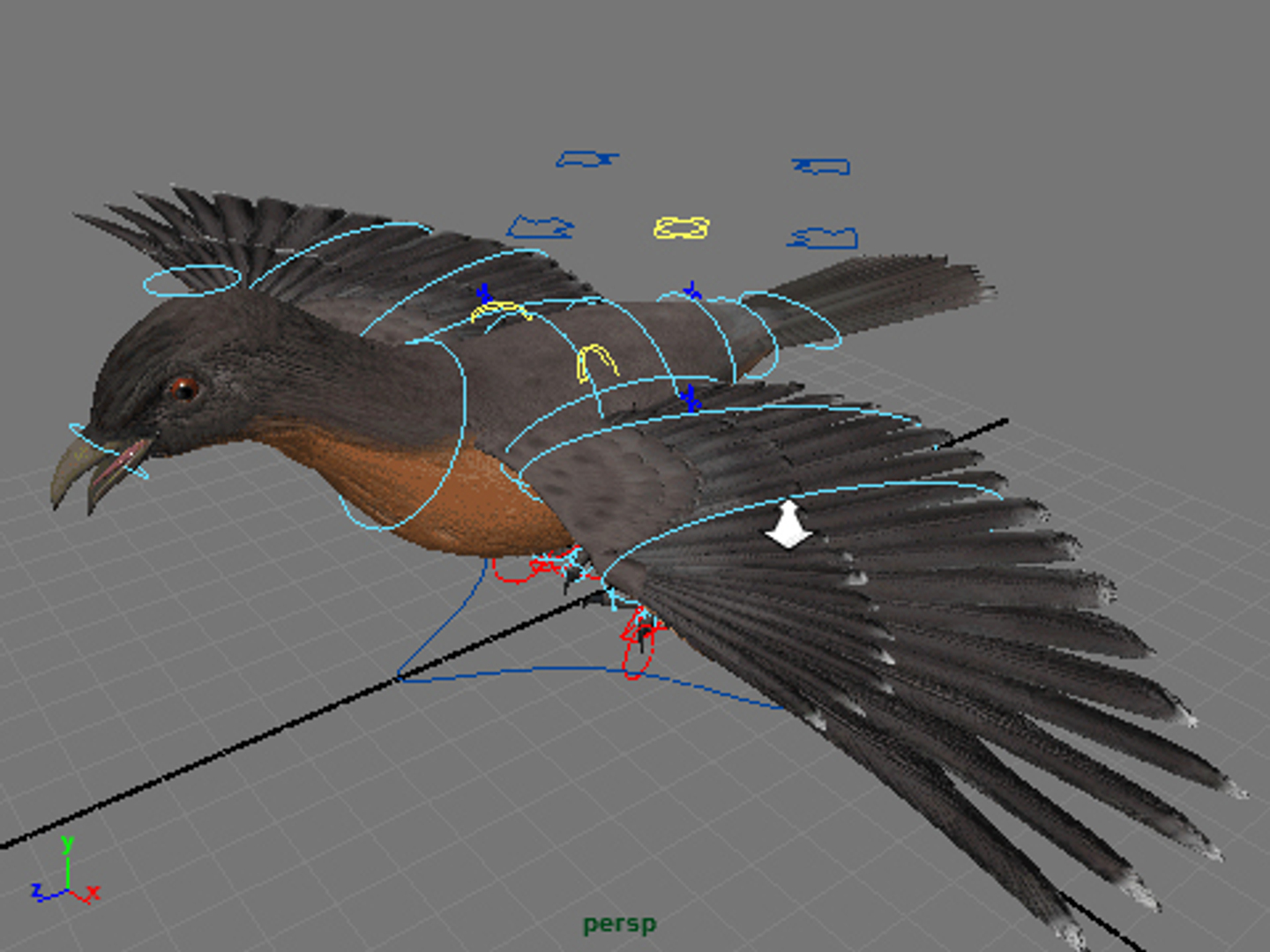 3d Pigeon Passenger Model