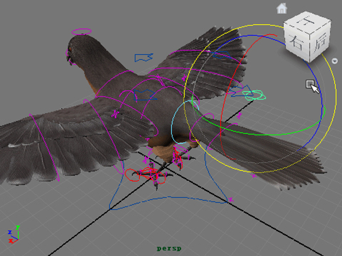 3d Pigeon Passenger Model