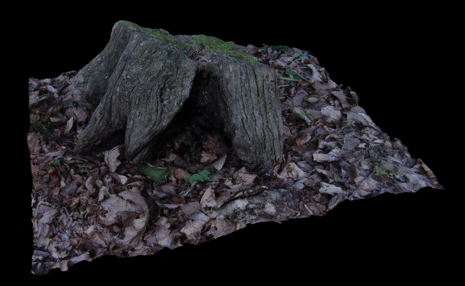 Old Tree Stump 3D - TurboSquid 1489177
