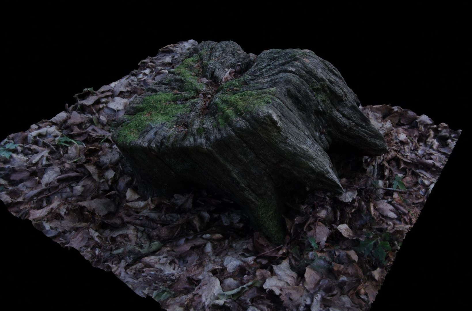 Old Tree Stump 3D - TurboSquid 1489177
