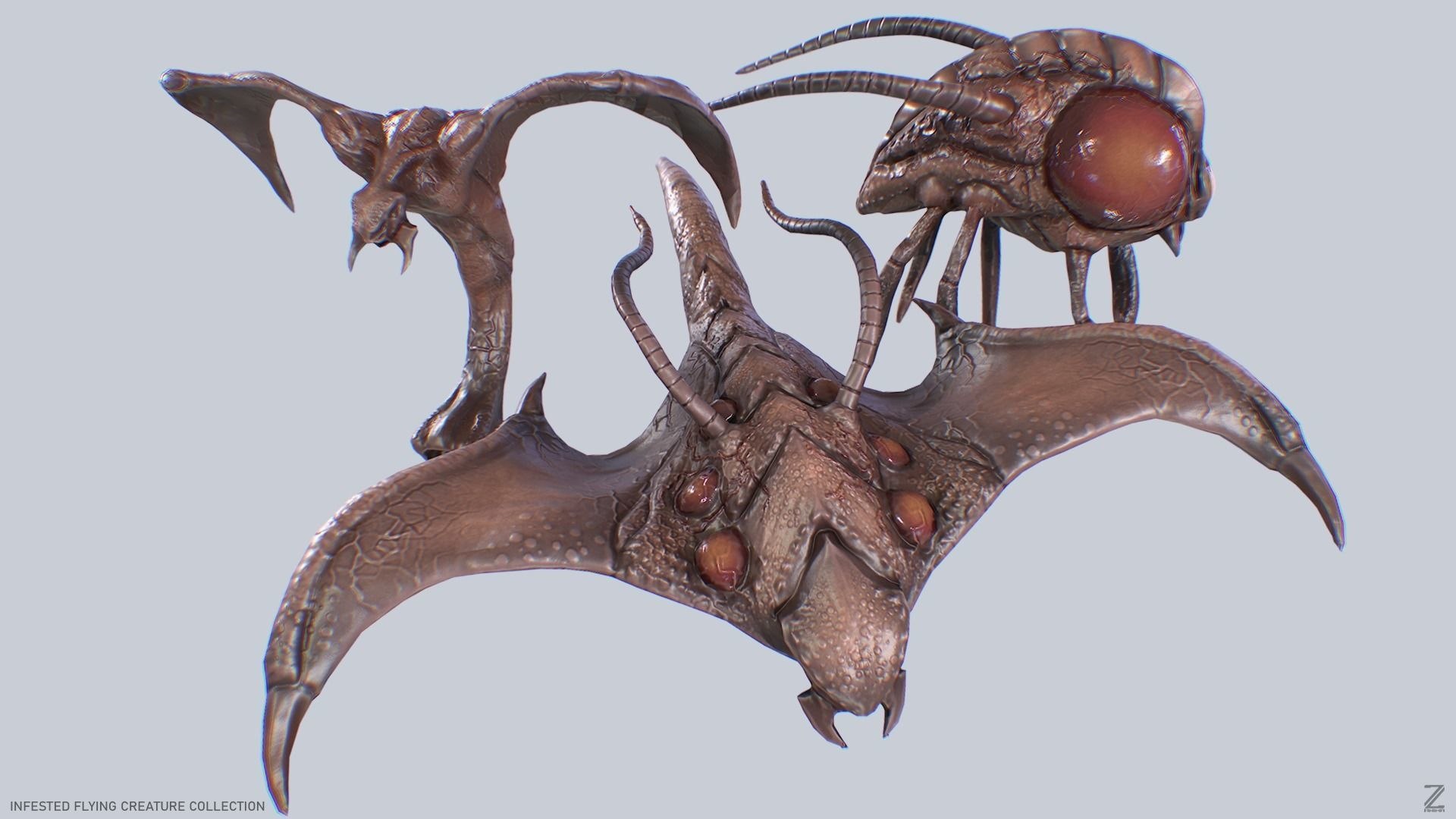 Infested Flying Creature Collection Model - TurboSquid 2235965