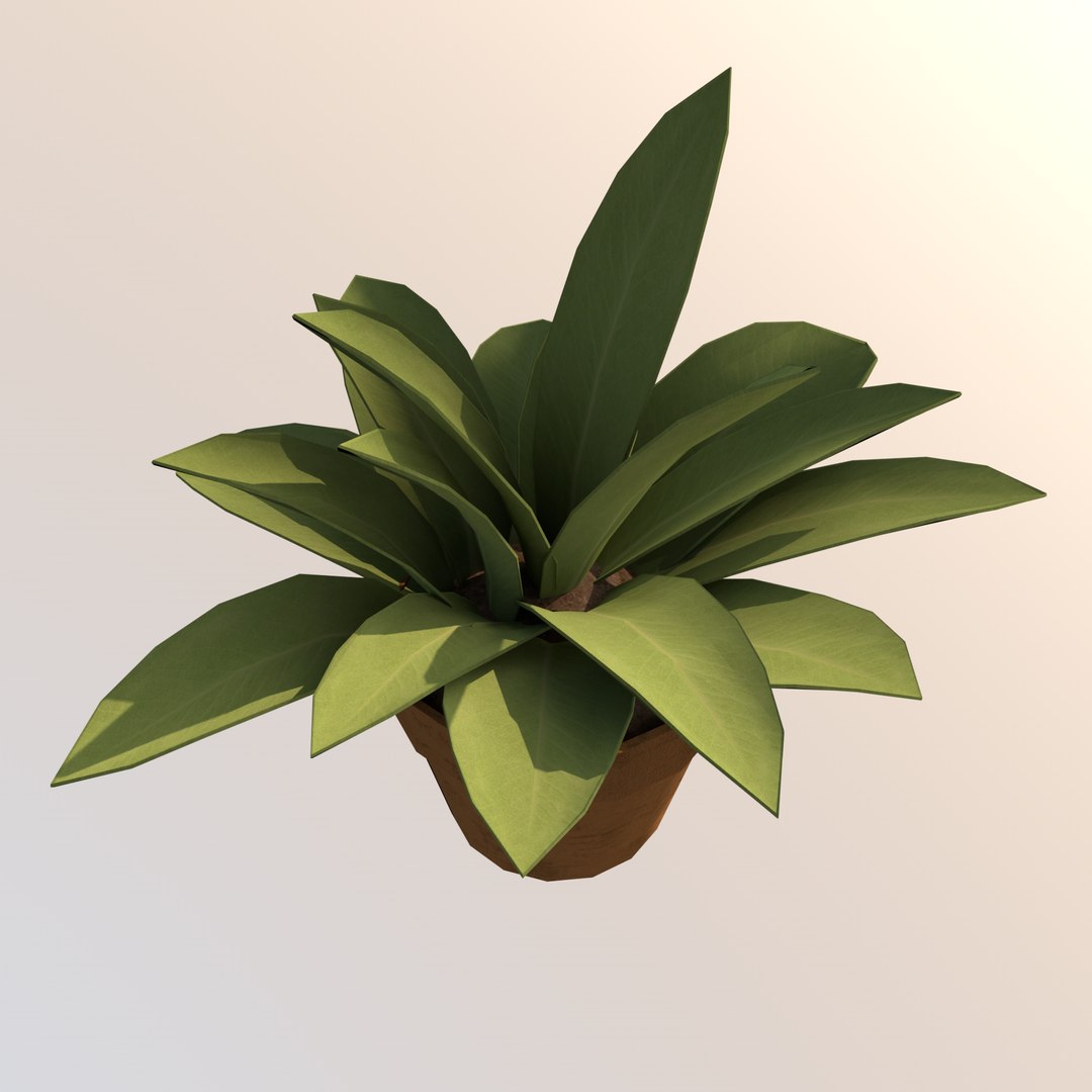 3D Small Potted Plants Model - TurboSquid 1670124