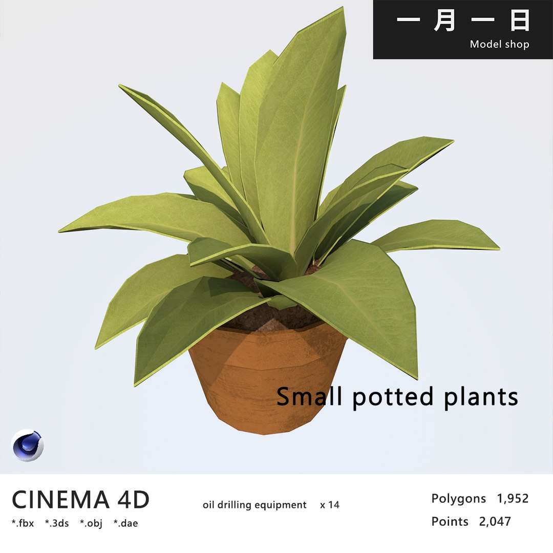 3D Small Potted Plants Model - TurboSquid 1670124