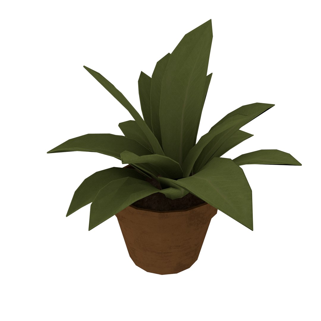 3D Small Potted Plants Model - TurboSquid 1670124