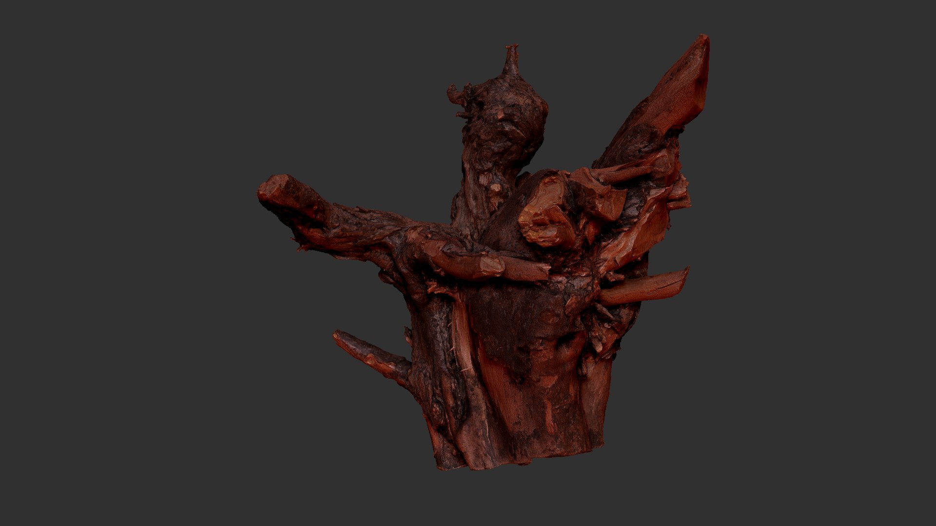 3D Tree Root 3D Scan - TurboSquid 2147319