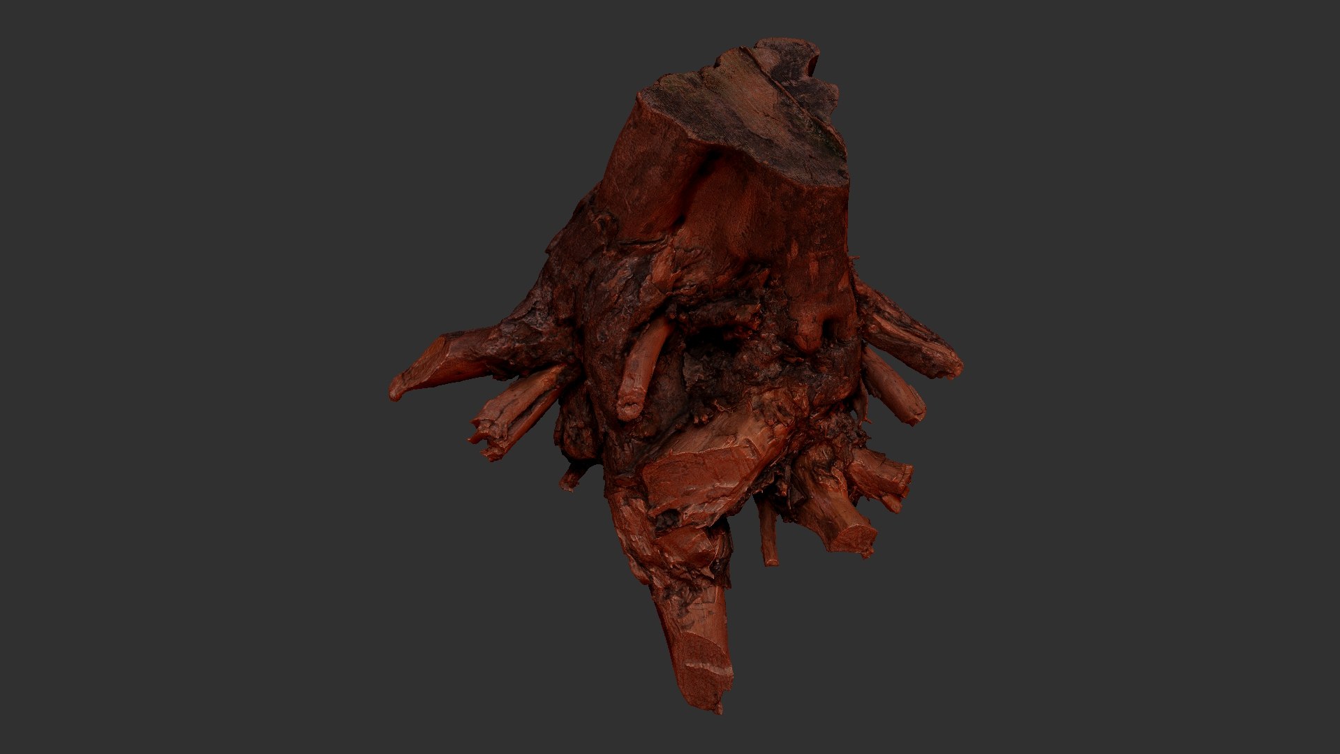 3D Tree Root 3D Scan - TurboSquid 2147319