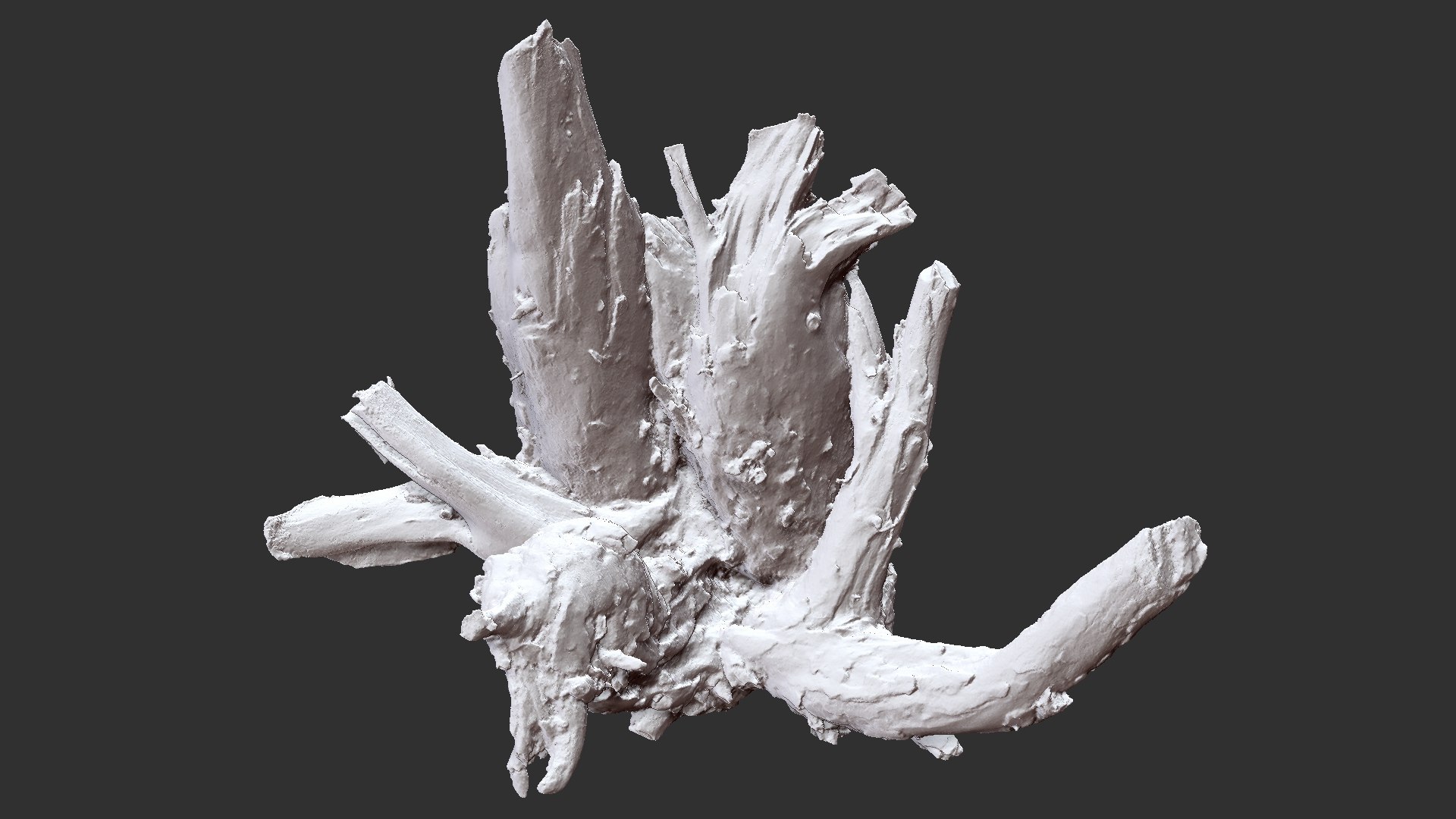 3D Tree Root 3D Scan - TurboSquid 2147319