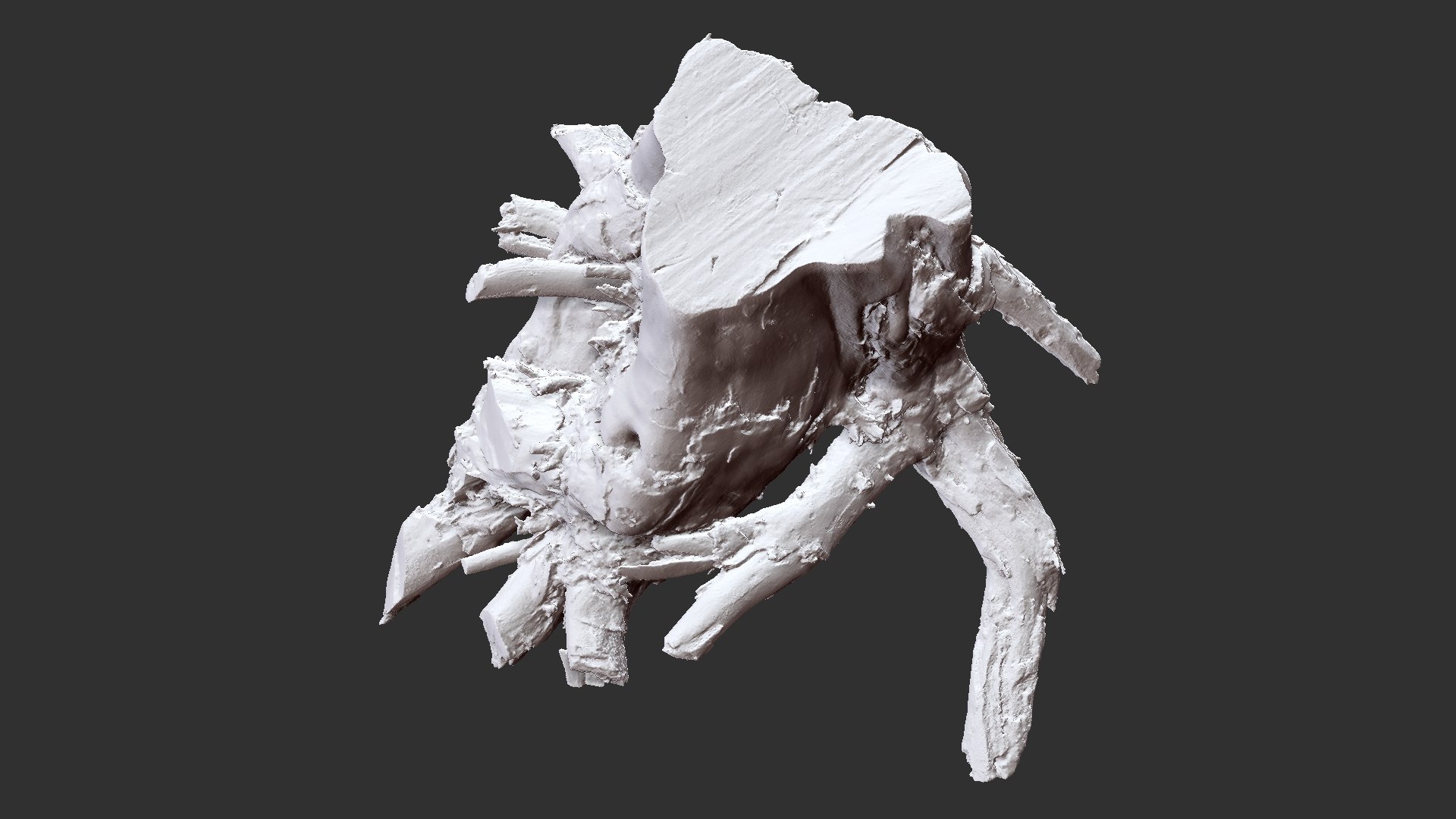 3D Tree Root 3D Scan - TurboSquid 2147319