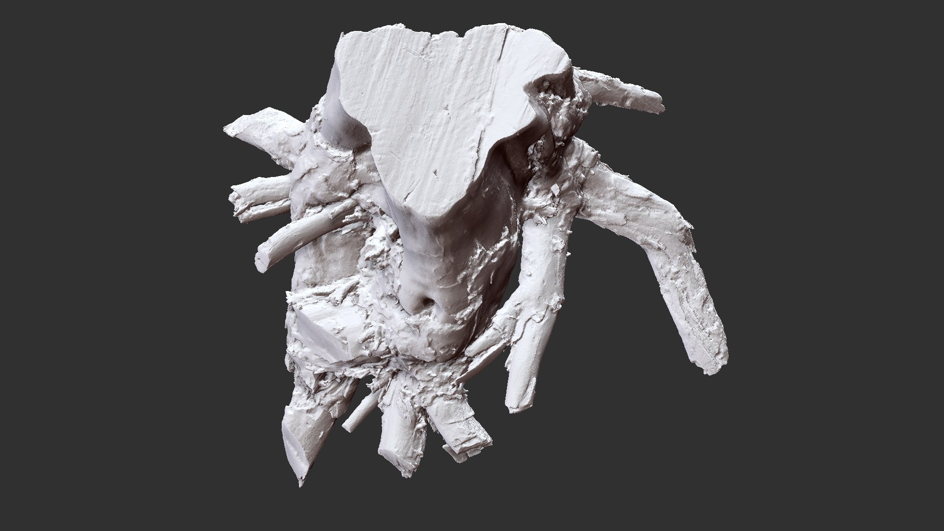 3D Tree Root 3D Scan - TurboSquid 2147319