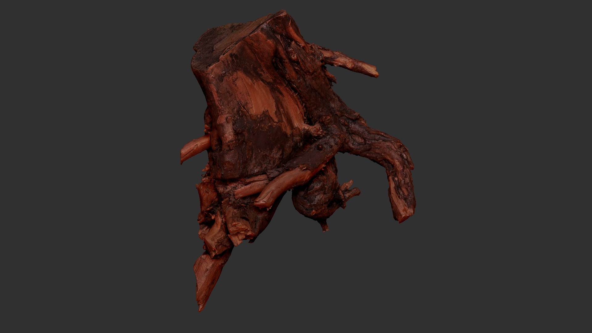 3D Tree Root 3D Scan - TurboSquid 2147319