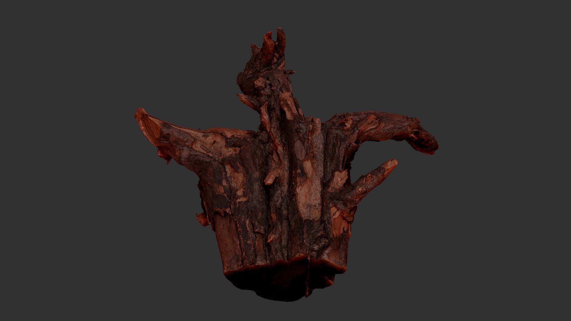 3D Tree Root 3D Scan - TurboSquid 2147319