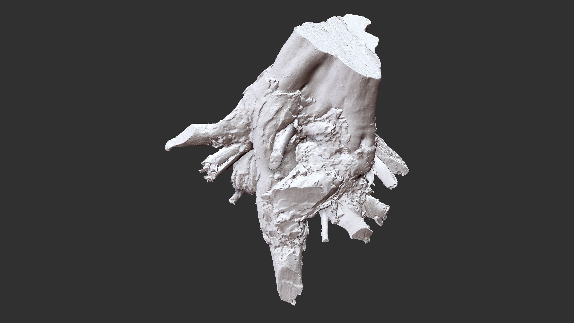 3D Tree Root 3D Scan - TurboSquid 2147319