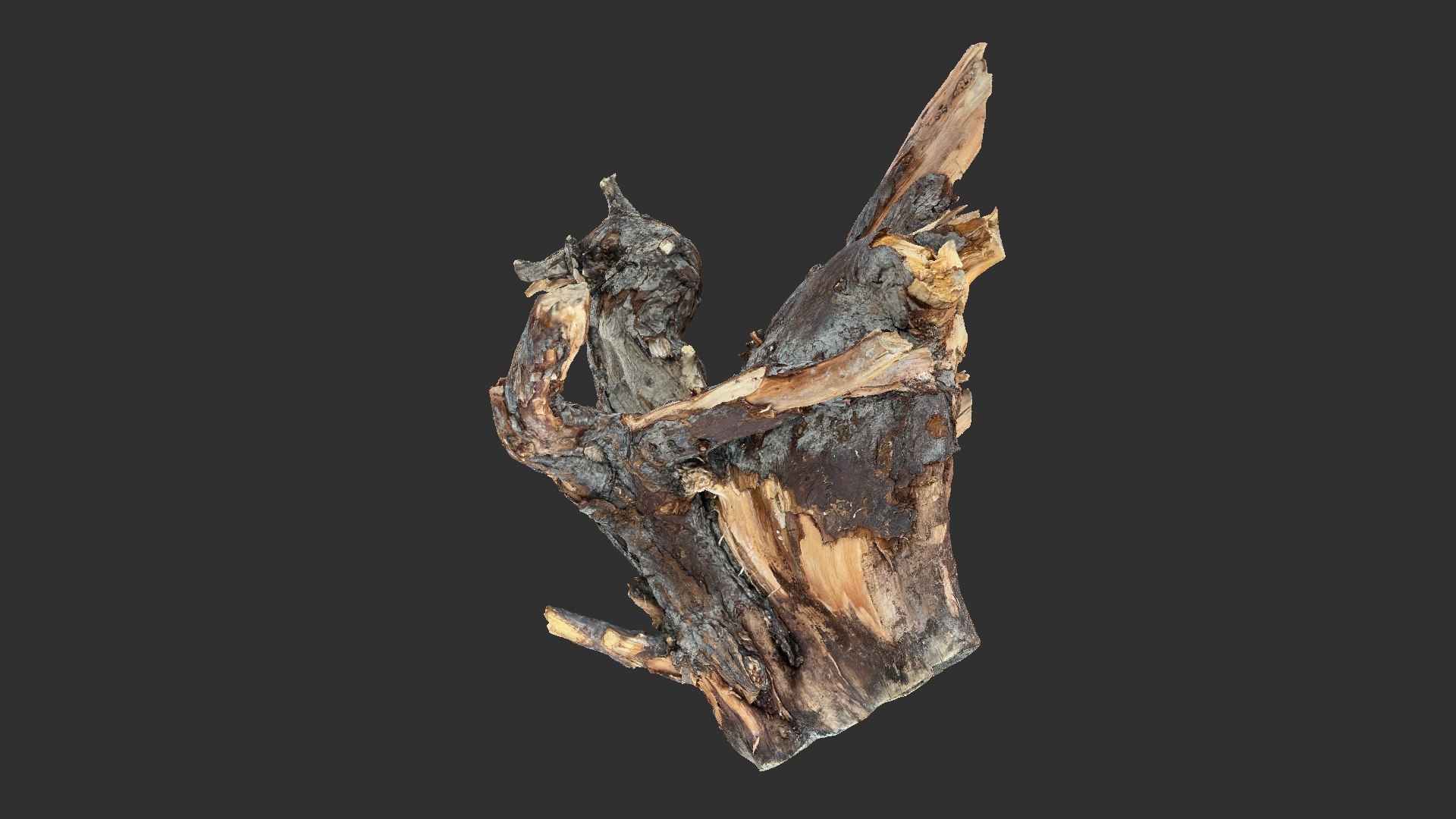 3D Tree Root 3D Scan - TurboSquid 2147319