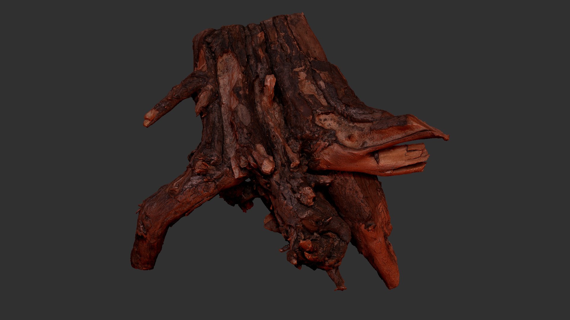 3D Tree Root 3D Scan - TurboSquid 2147319
