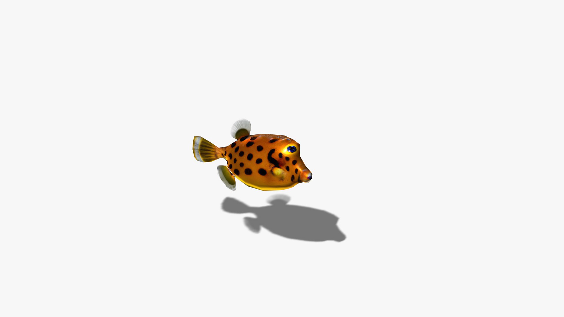 20 Animated Low Poly Fish 3D - TurboSquid 2129739