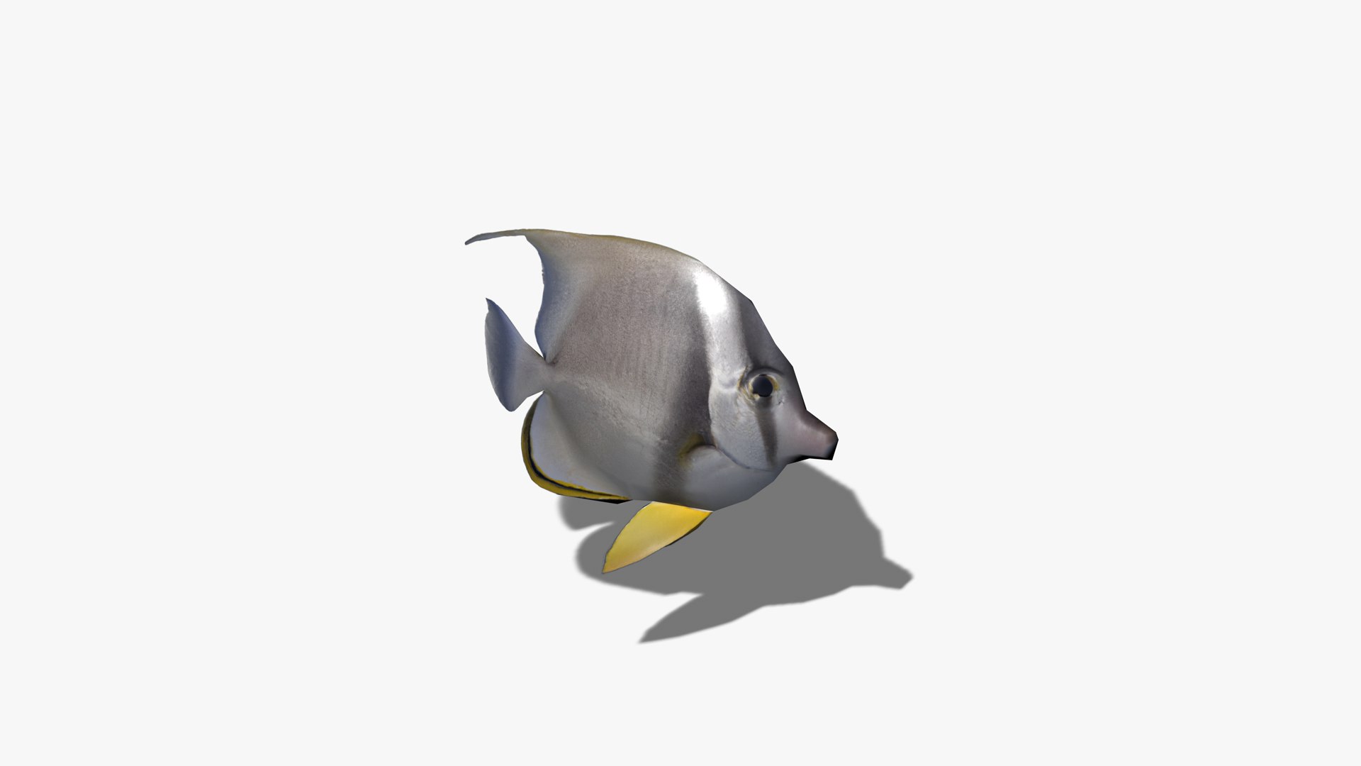 20 Animated Low Poly Fish 3D - TurboSquid 2129739