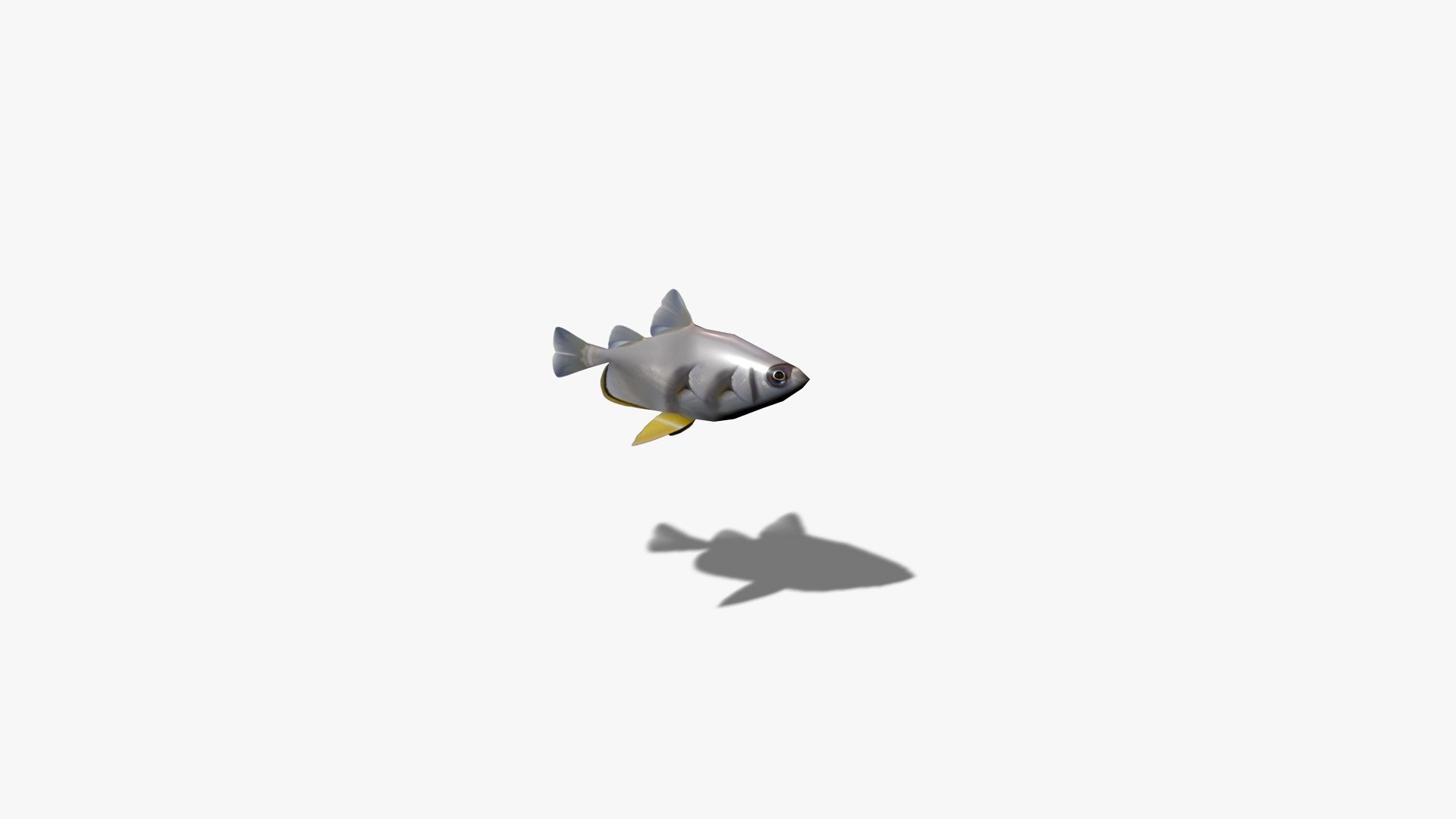 20 Animated Low Poly Fish 3D - TurboSquid 2129739
