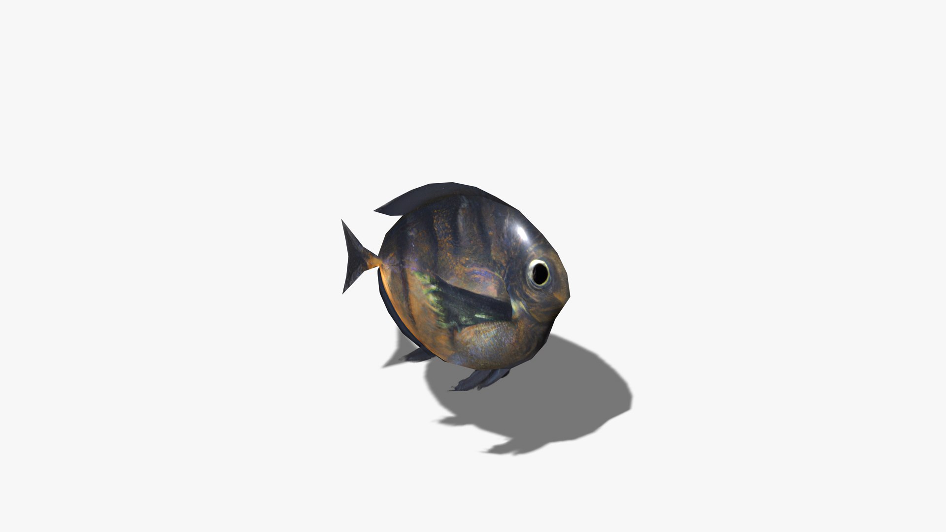 20 Animated Low Poly Fish 3D - TurboSquid 2129739