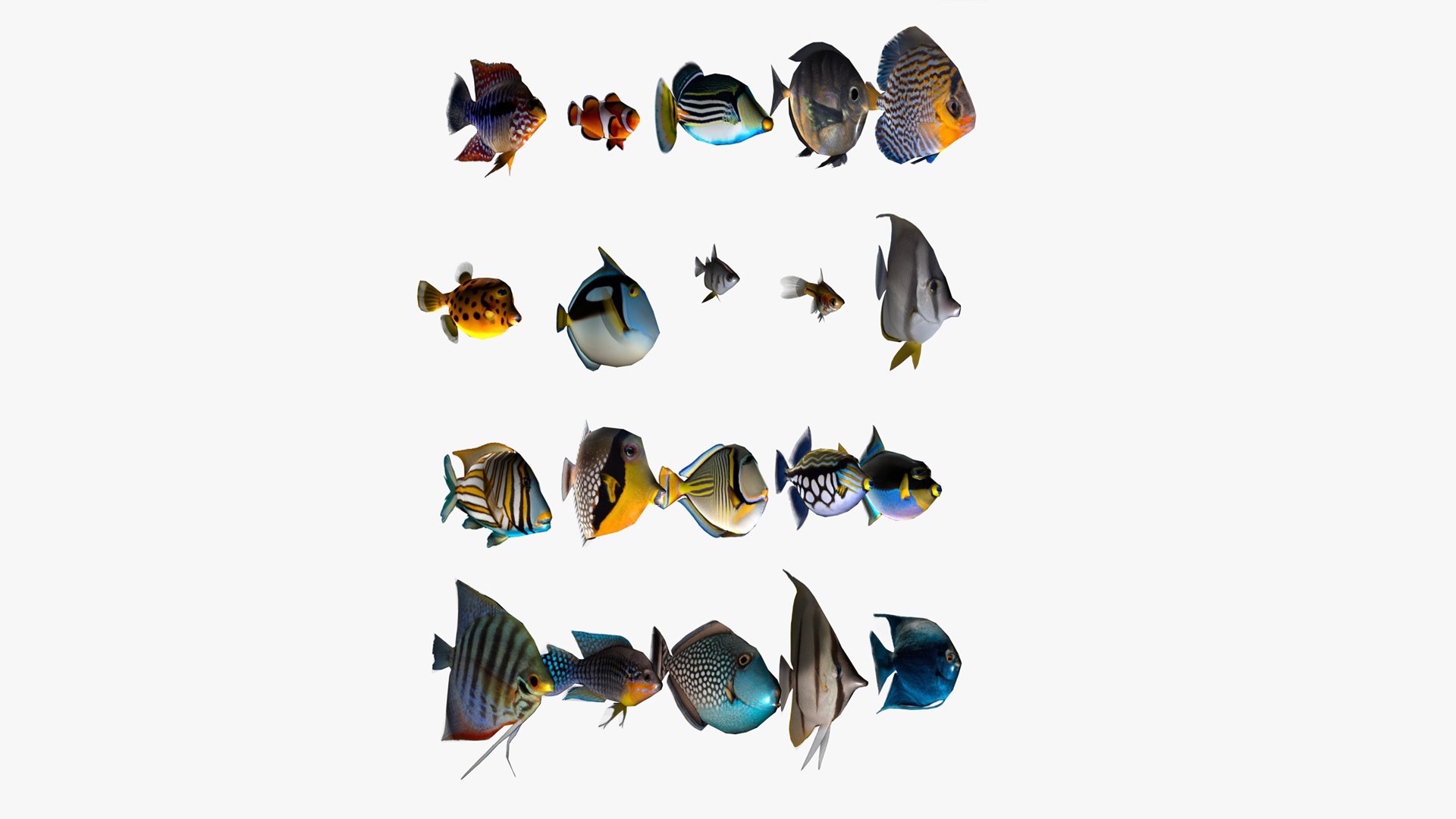 20 Animated Low Poly Fish 3D - TurboSquid 2129739